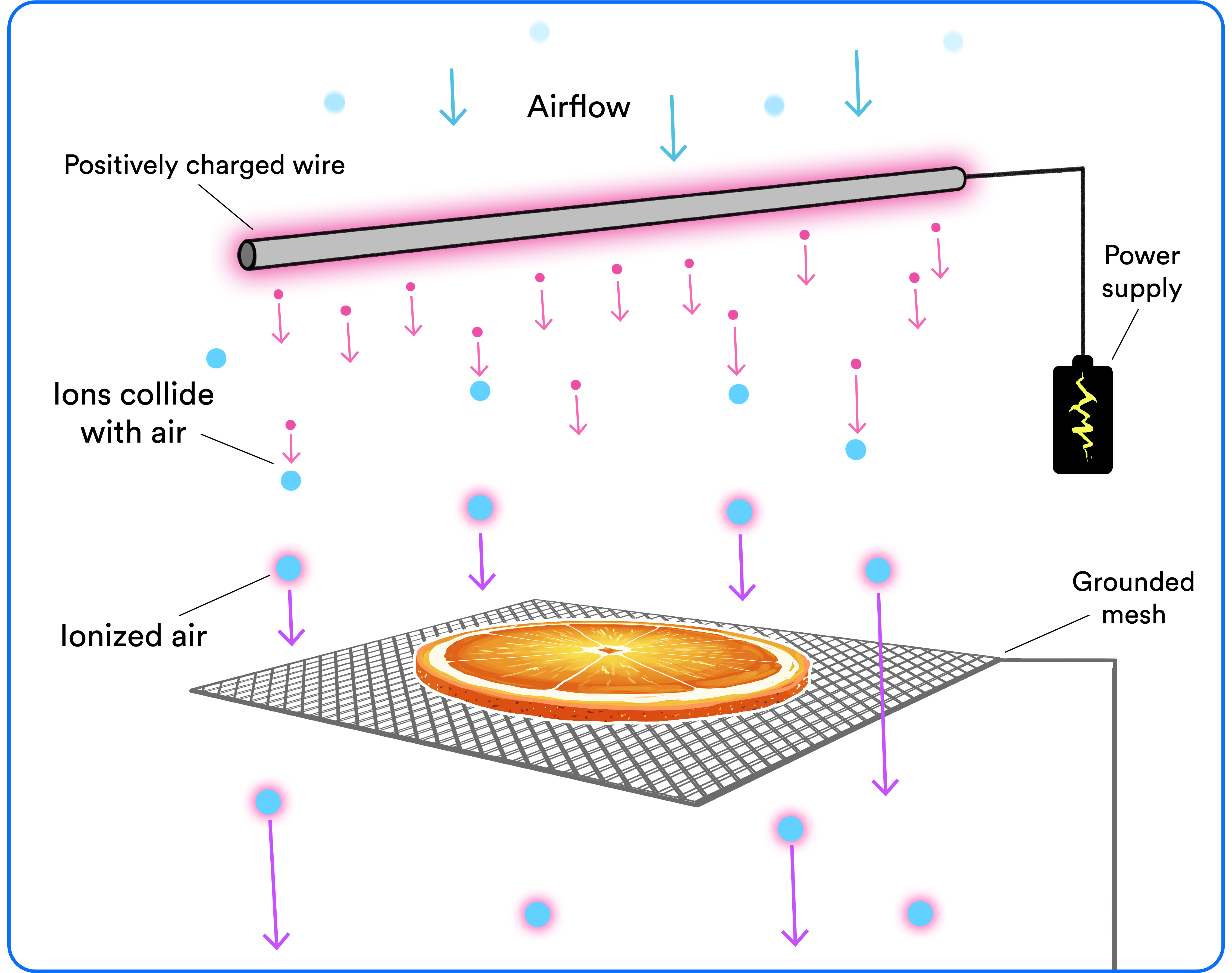 Newsela | New "ionic wind" can dry foods while preserving nutrients