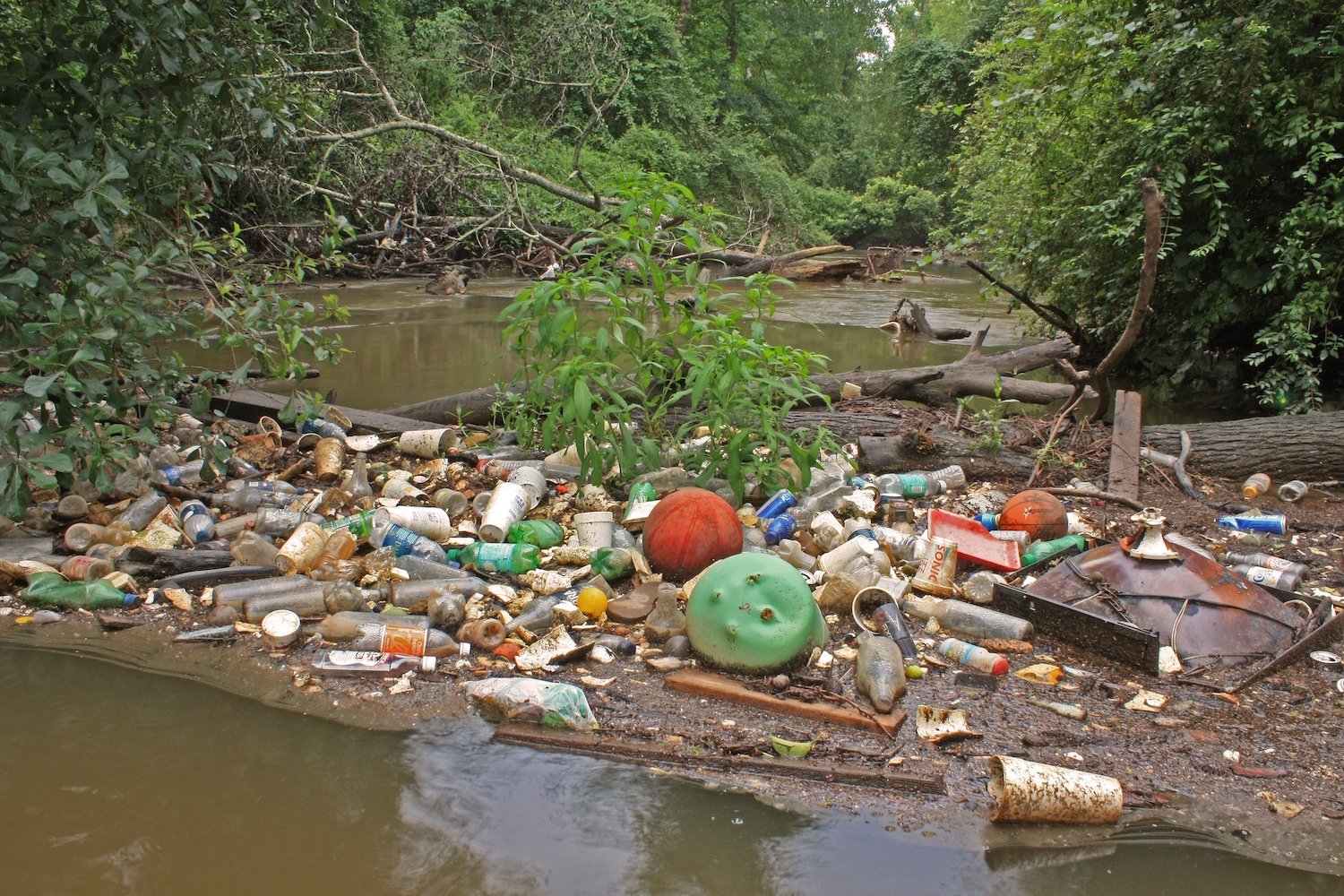 Newsela The Many Effects Of Flooding Newsela The Many Effects Of Flooding