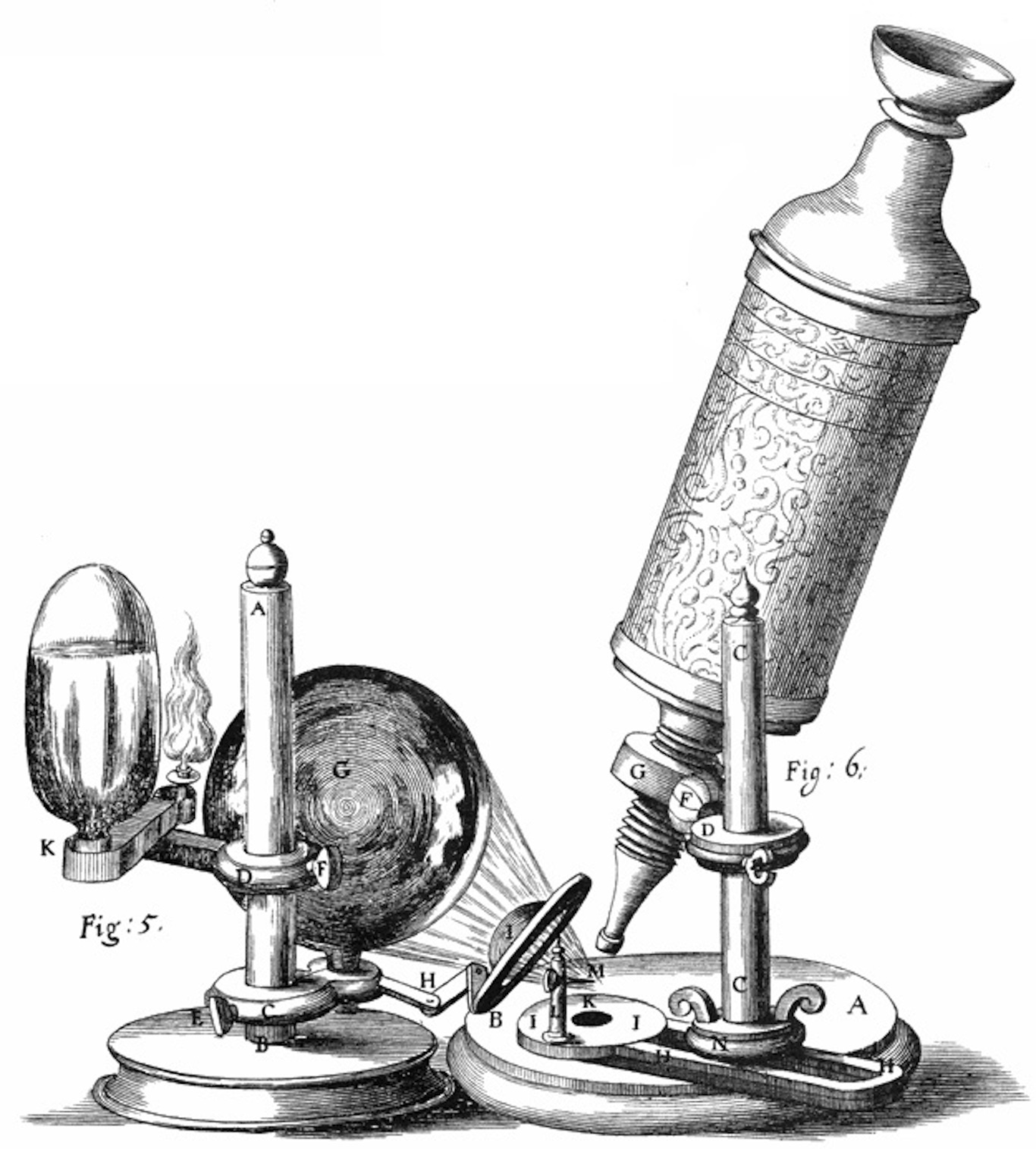 Newsela | History of the cell: Discovering the cell Newsela | History of the cell: Discovering the cell
