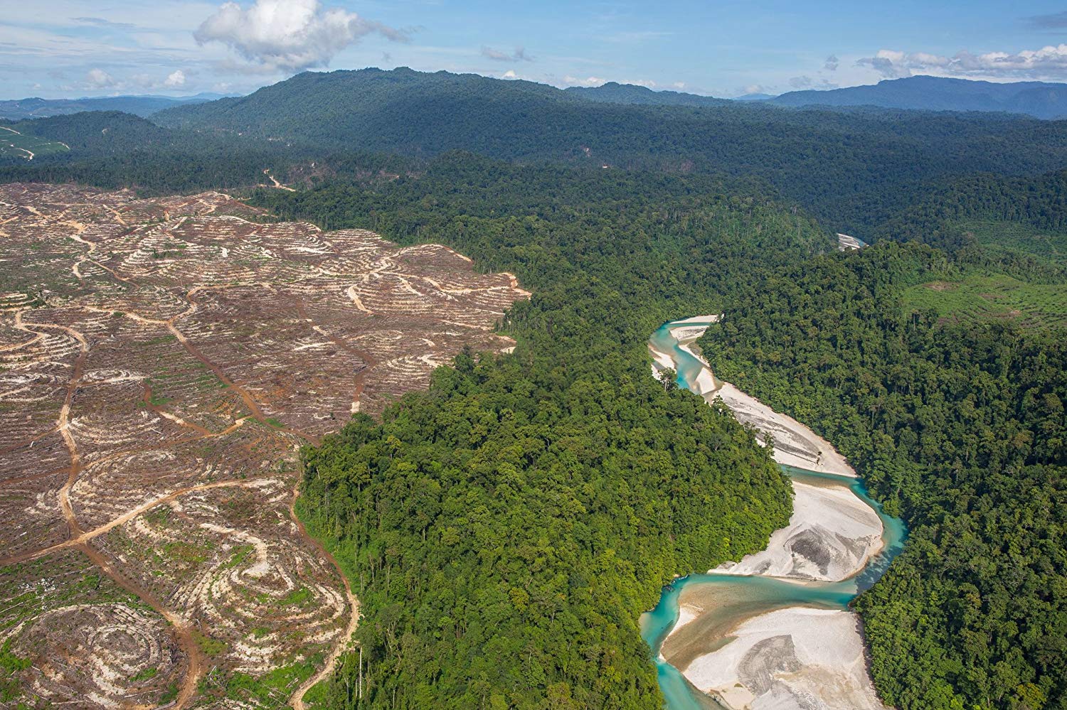 Newsela | Nature documentary series seeks to reveal truth of habitat ...