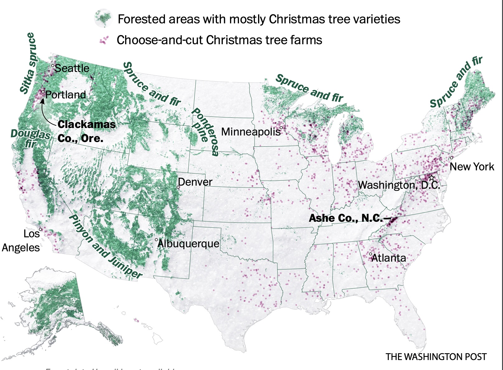 Newsela Where Christmas Trees Come From newsela-where-christmas-trees-come-from